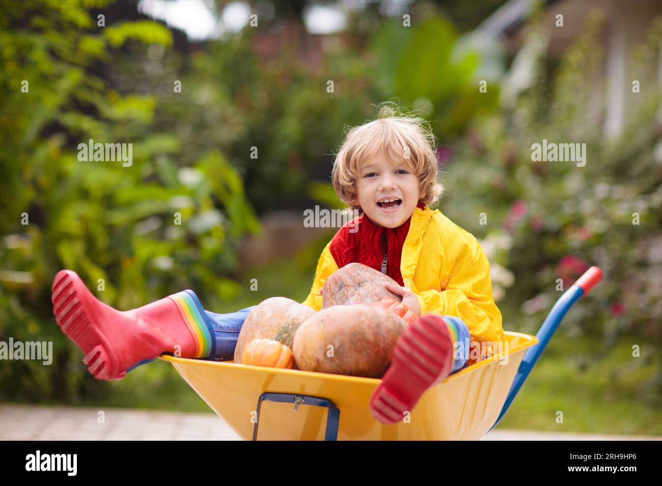 Kids in wheelbarrow on pumpkin patch. Autumn outdoor fun for children ...