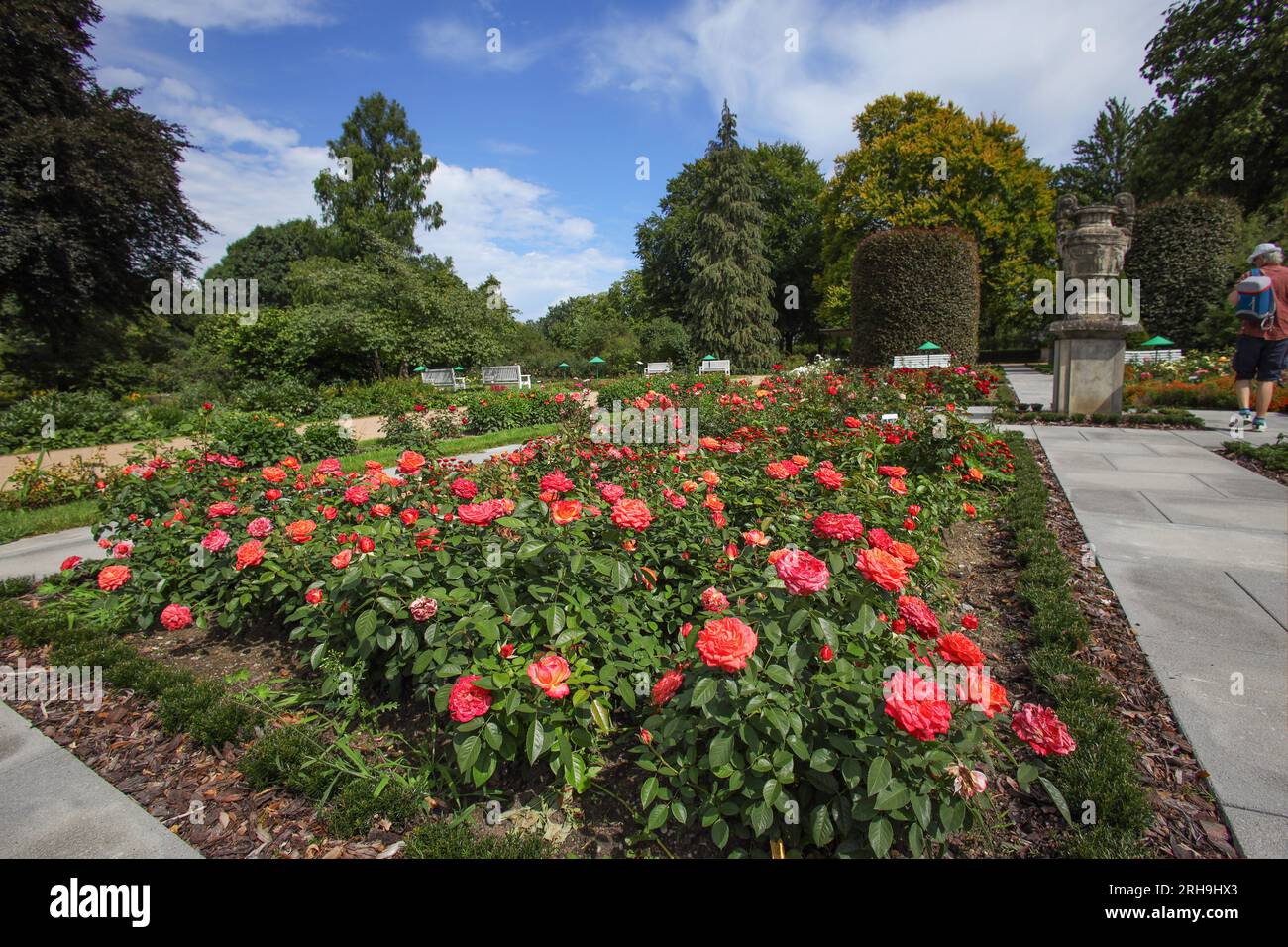"Ostdeutscher Rosengarten" (East german rose garden) in Forst, Lausitz ...