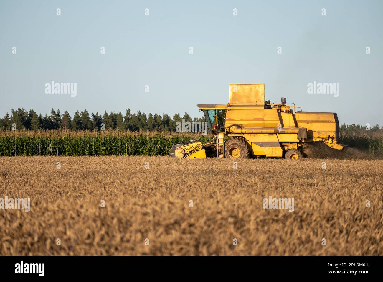 the side of a yellow combine harvester in the field in threshing work ...