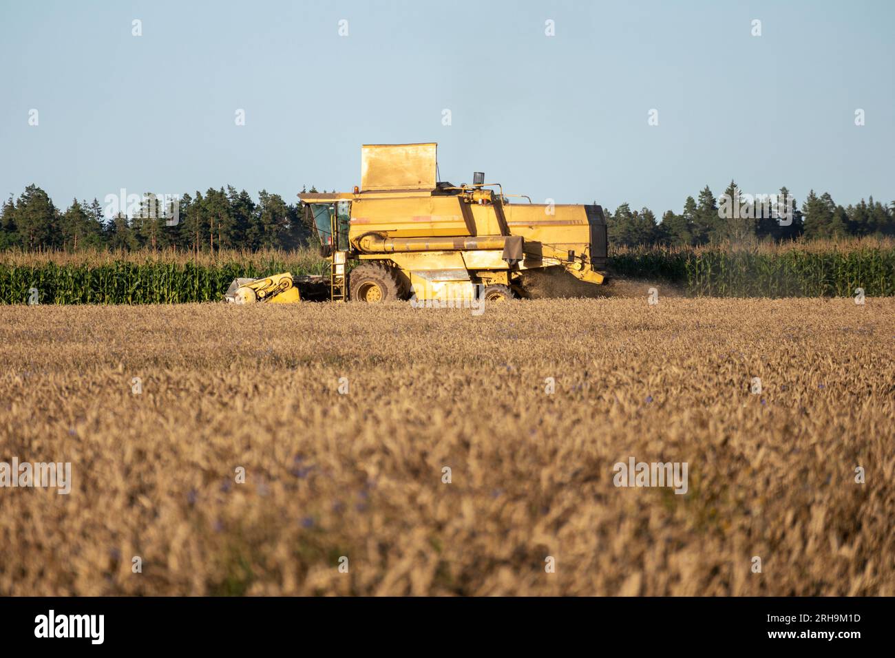 the side of a yellow combine harvester in the field in threshing work ...