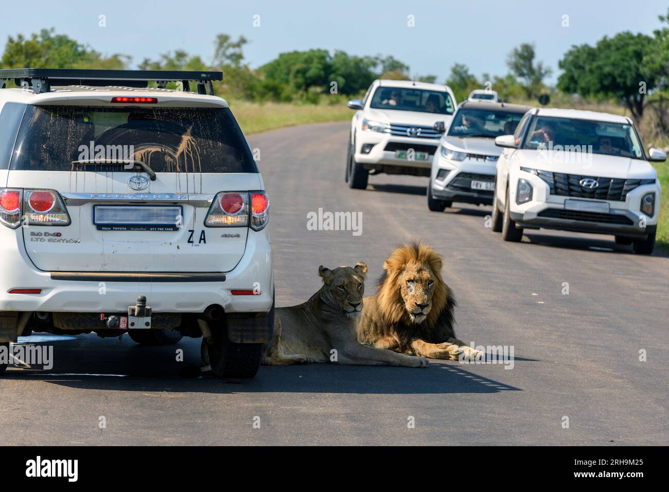 Tshokwane road hi-res stock photography and images - Alamy