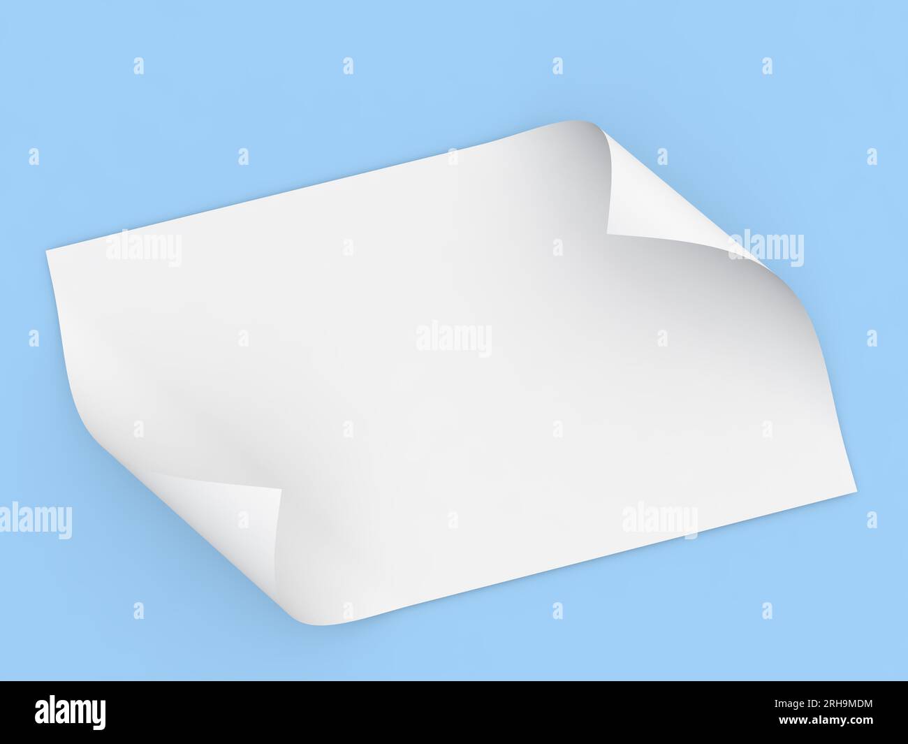 Sheet of A4 paper with curved edges on a blue background. 3d render ...