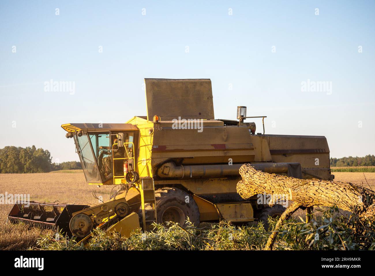 the side of a yellow combine harvester in the field in threshing work ...
