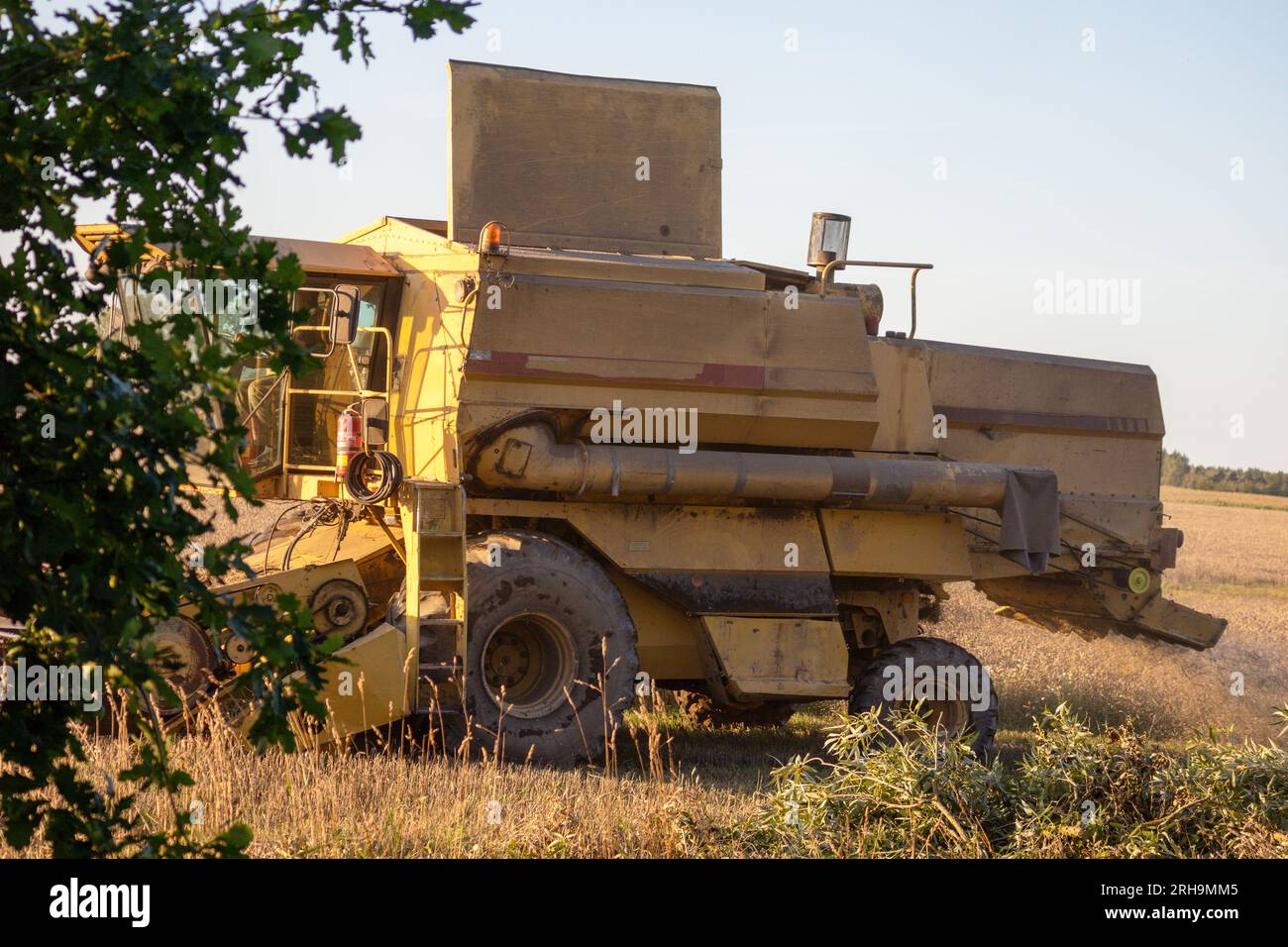 the side of a yellow combine harvester in the field in threshing work ...