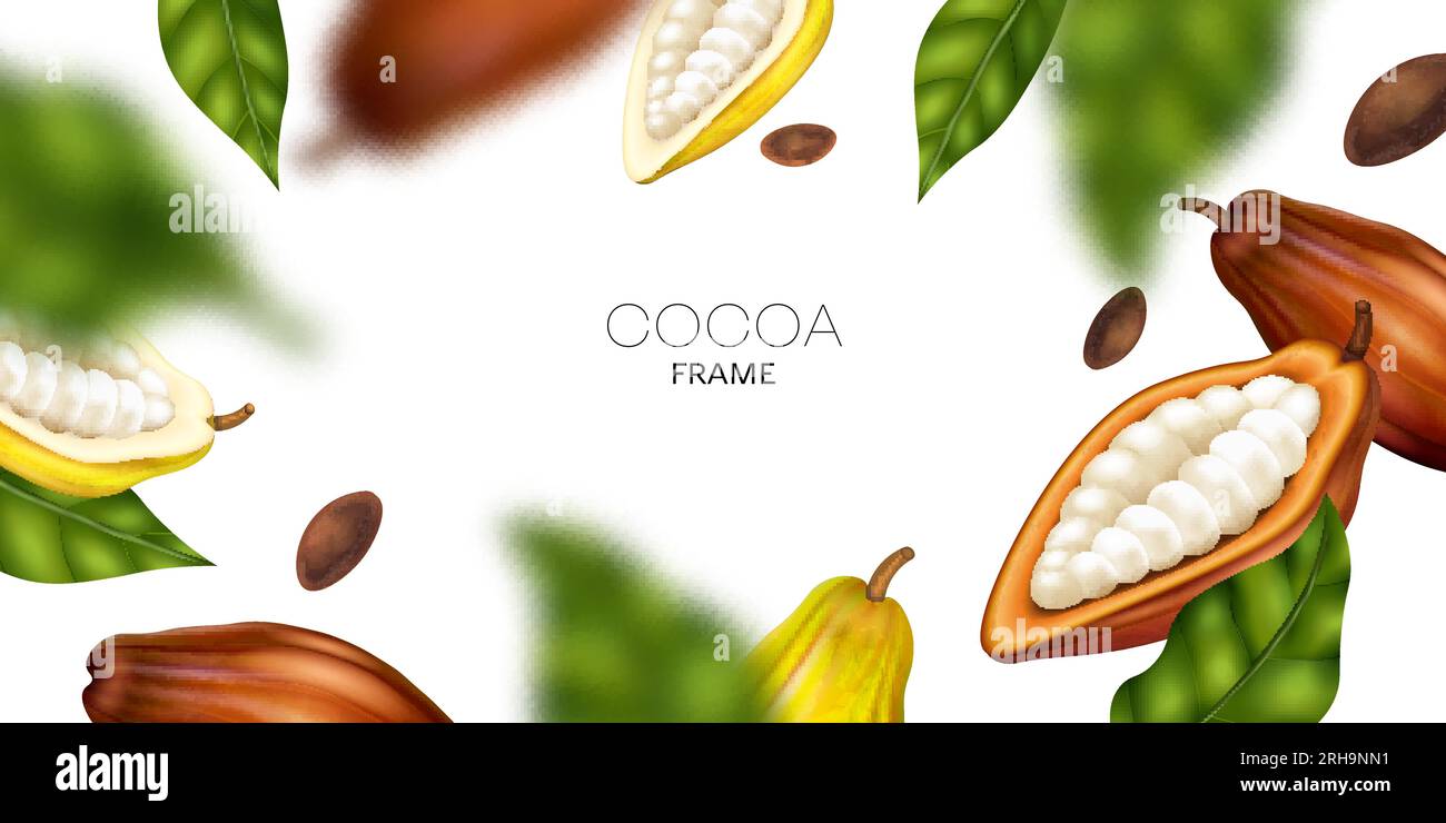 Realistic horizontal frame with cocoa pods leaves and blur effect ...