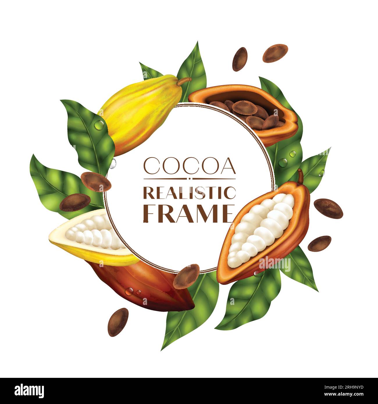 Kakao vector vectors Stock Vector Images - Alamy