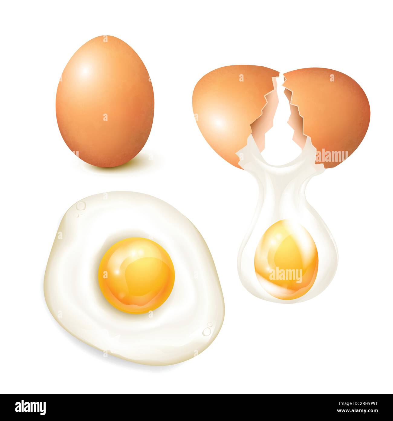 Realistic chicken eggs set with cracked and fried isolated on white background vector ...