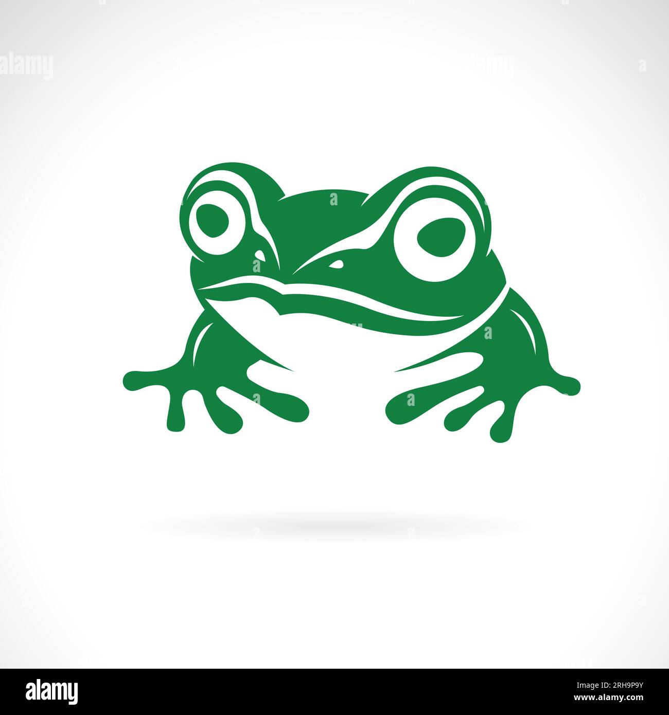 Vector of frog design on a white background. Amphibian. Animals. Easy ...