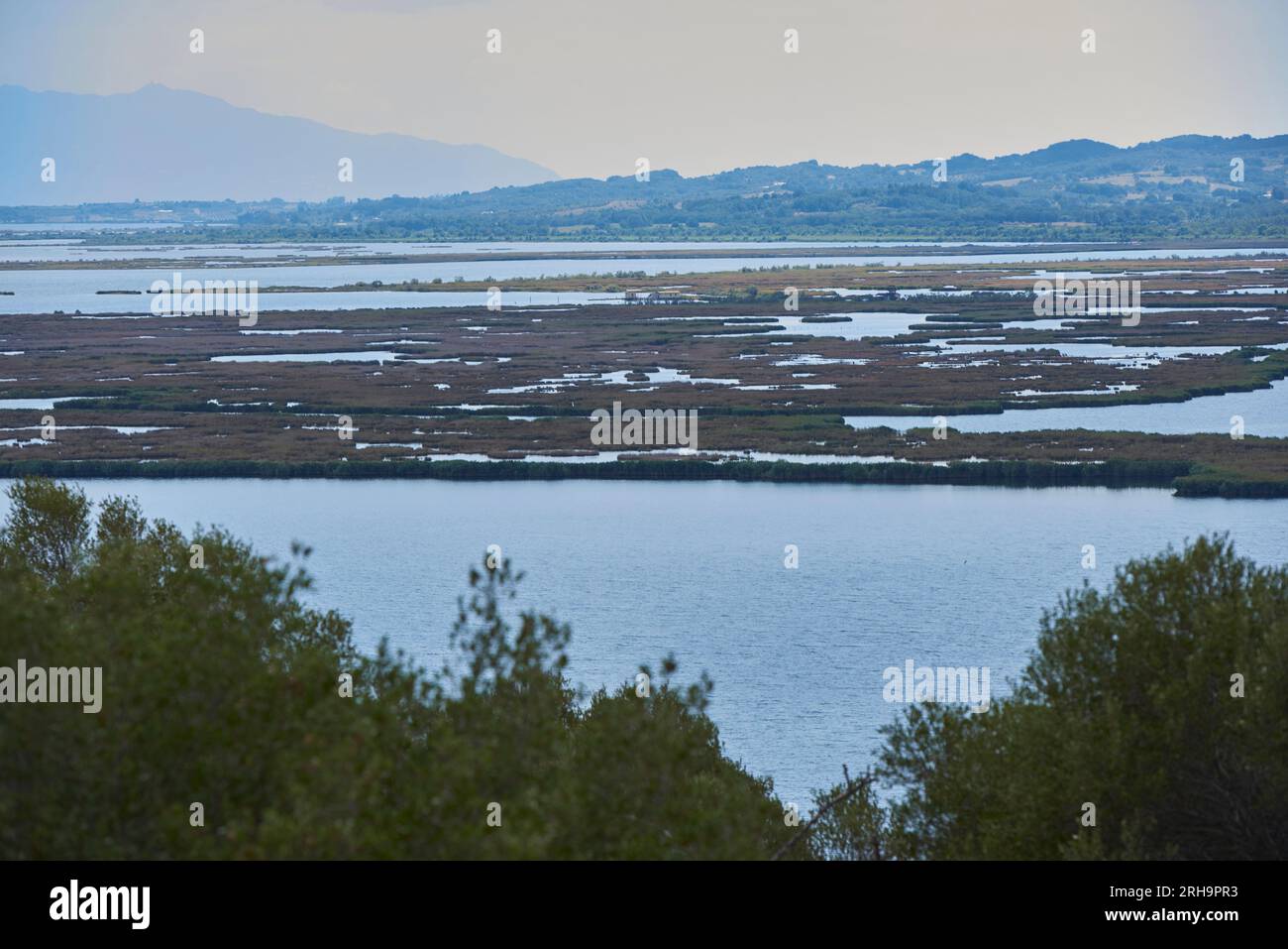 Preveza, Greece. 15th Aug, 2023. Migratory birds at the wetlands of ...