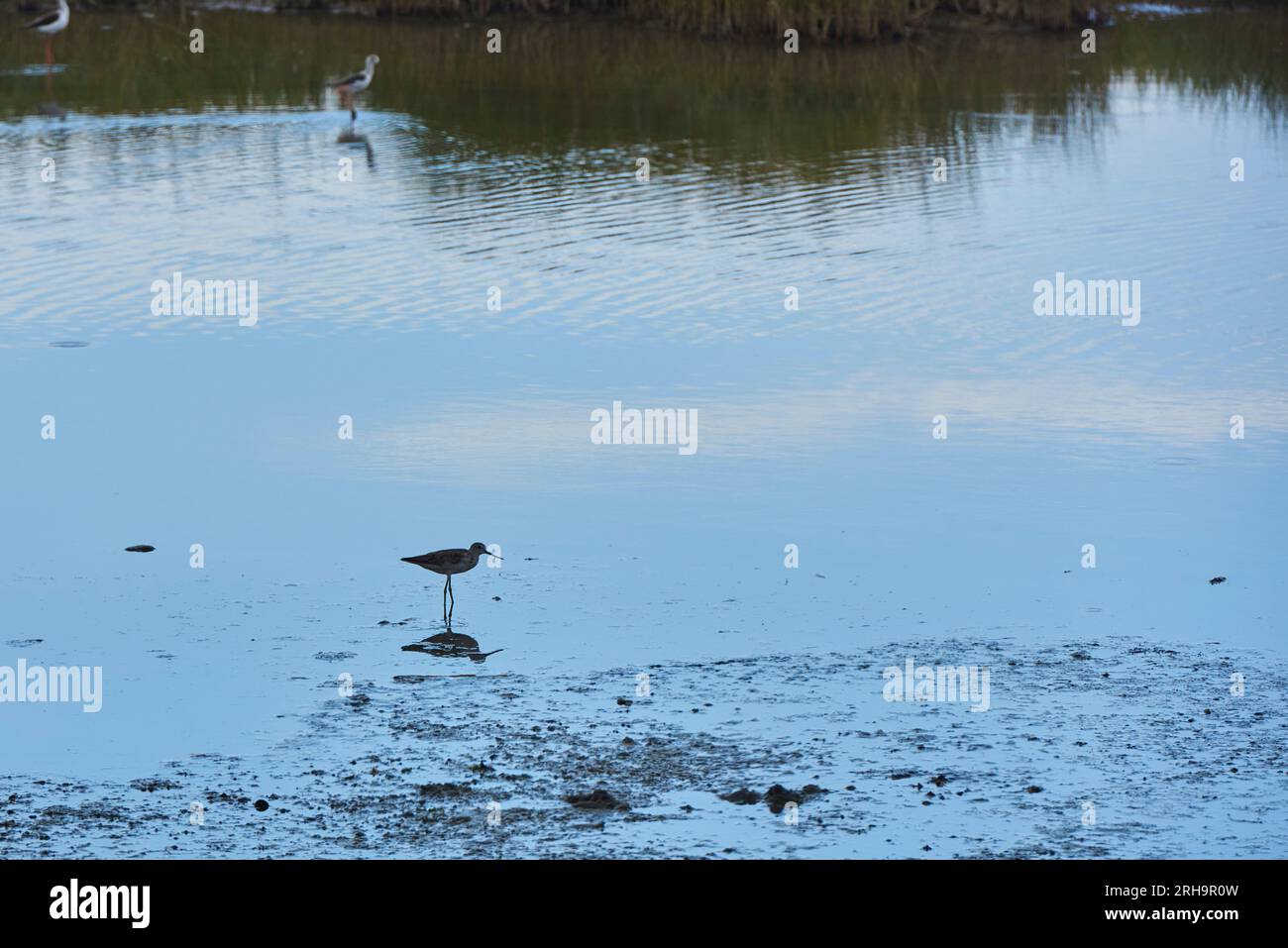 Wenvironment hi-res stock photography and images - Alamy