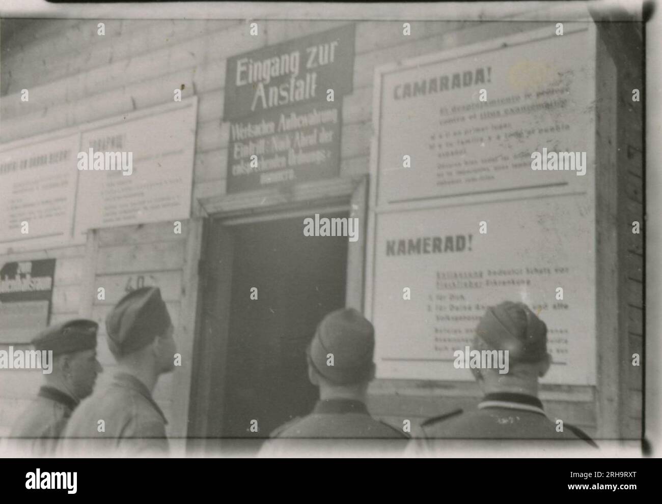SS Photographer, Hoffmann, Rudi (1943-44) Soldiers undergoing medical ...