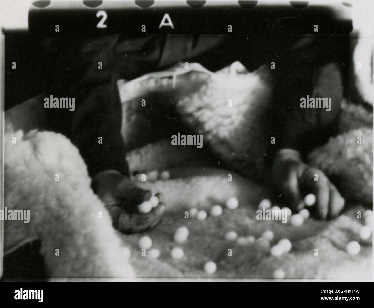 SS Photographer, Hoffmann, Rudi (1943-44) Soldiers undergoing medical ...