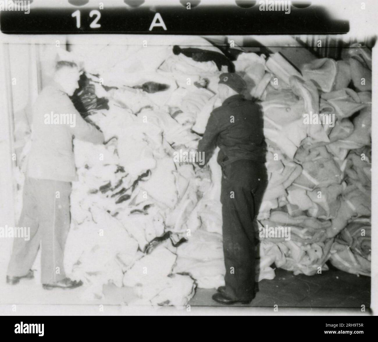 SS Photographer, Hoffmann, Rudi (1943-44) Soldiers undergoing medical ...