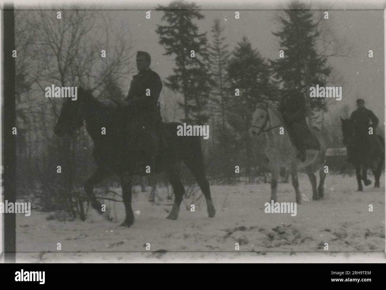 SS Photographer, Hoffmann, Rudi (1943-44) Soldiers undergoing medical ...