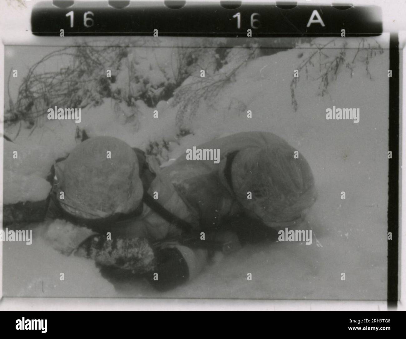 SS Photographer, Hoffmann, Rudi (1943-44) Soldiers undergoing medical ...