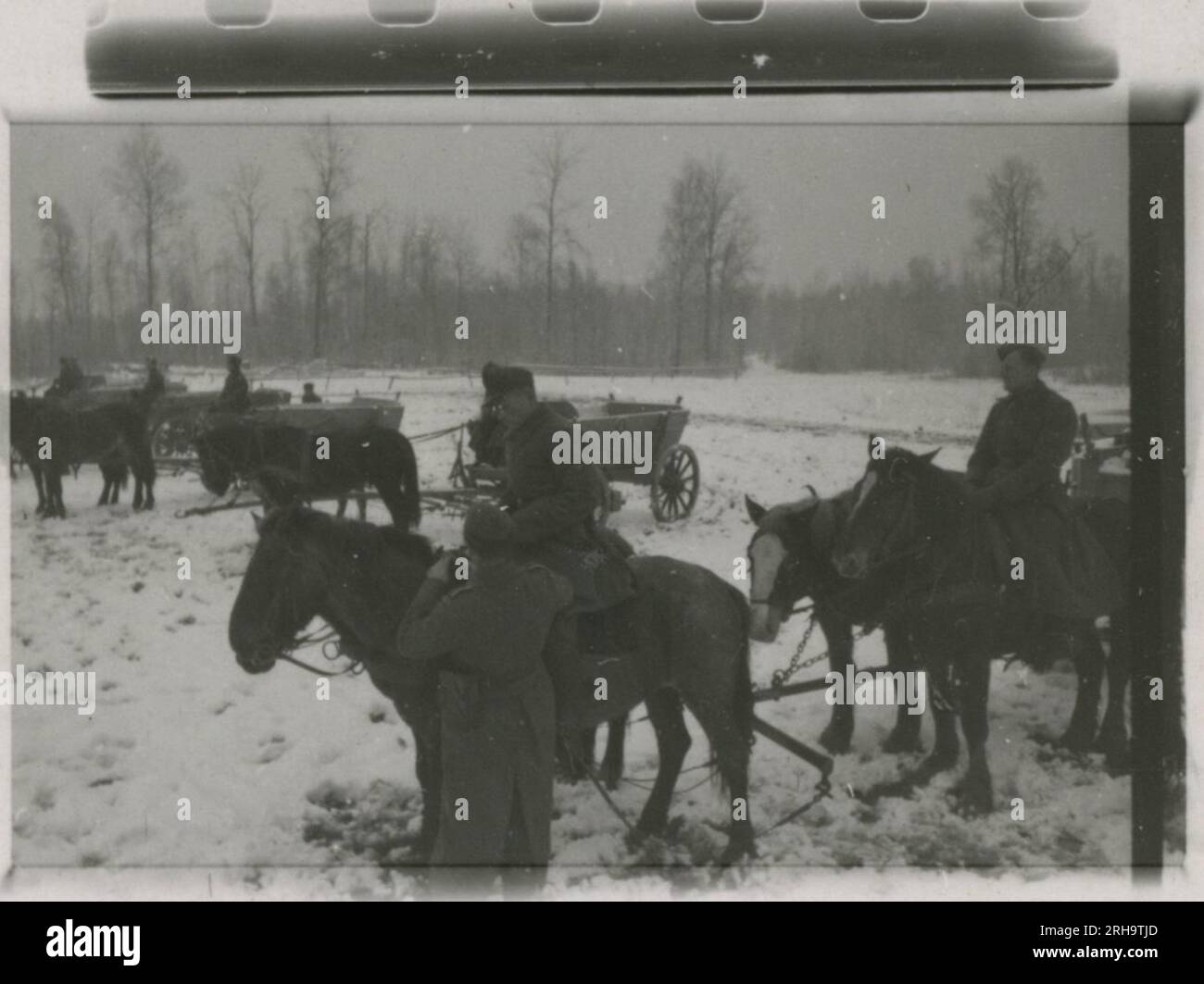 SS Photographer, Hoffmann, Rudi (1943-44) Soldiers undergoing medical ...