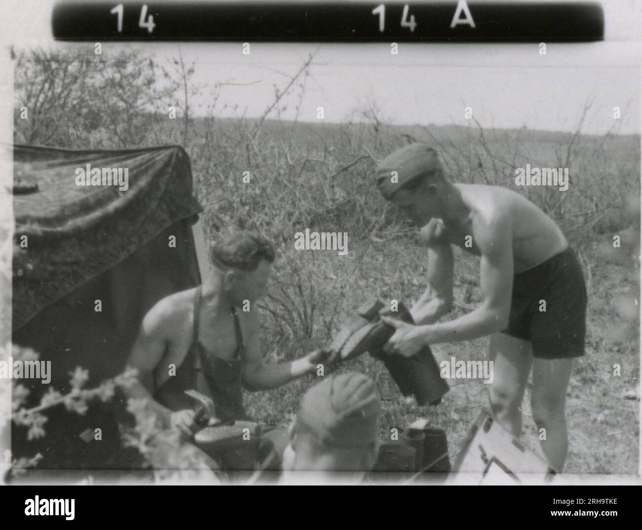 SS Photographer, Hoffmann, Rudi (1943-44) Soldiers undergoing medical ...