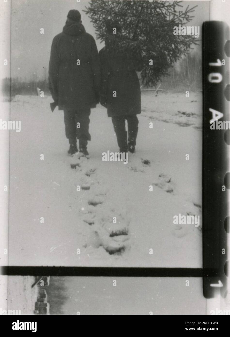 SS Photographer, Hoffmann, Rudi (1943-44) Soldiers undergoing medical ...