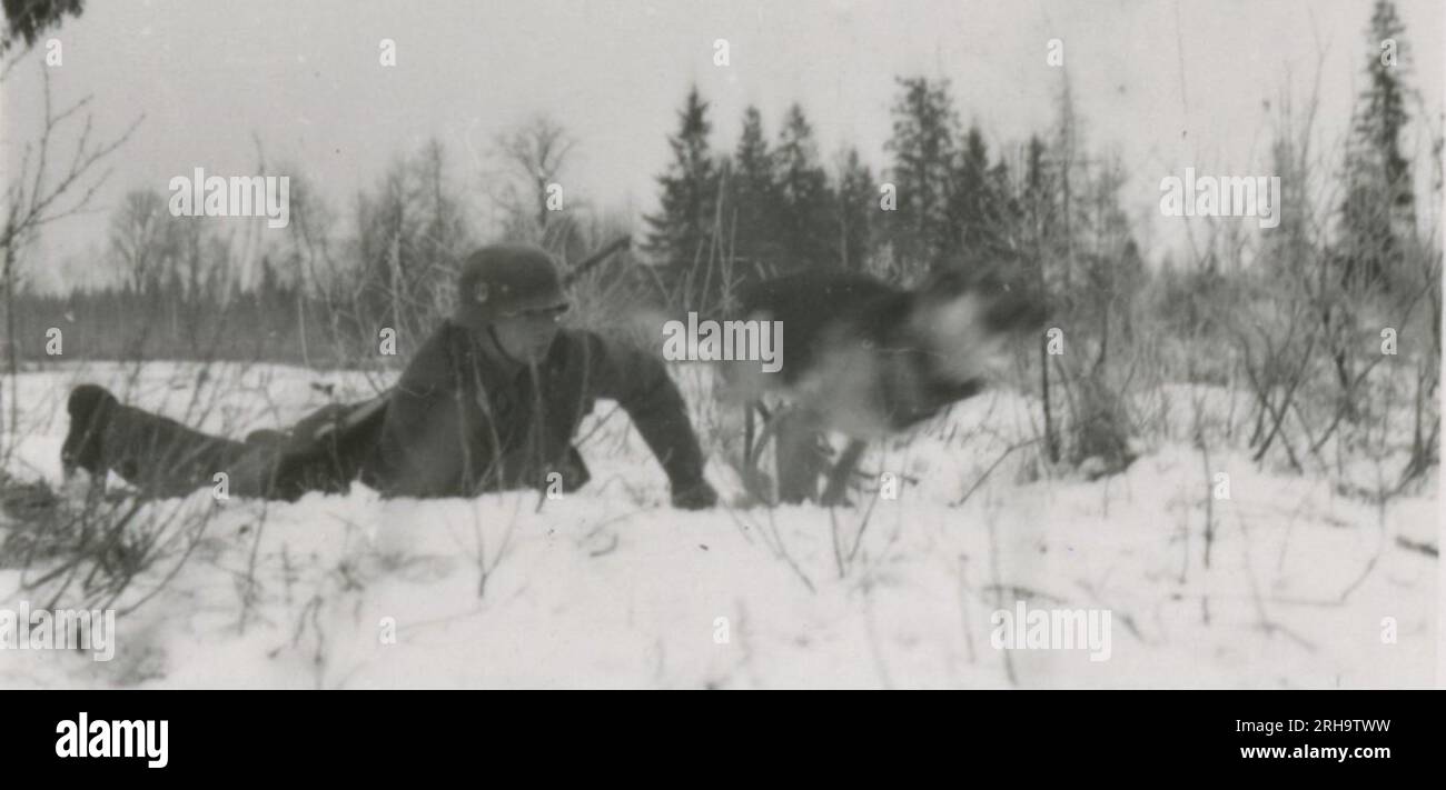 SS Photographer, Hoffmann, Rudi (1943-44) Soldiers undergoing medical ...