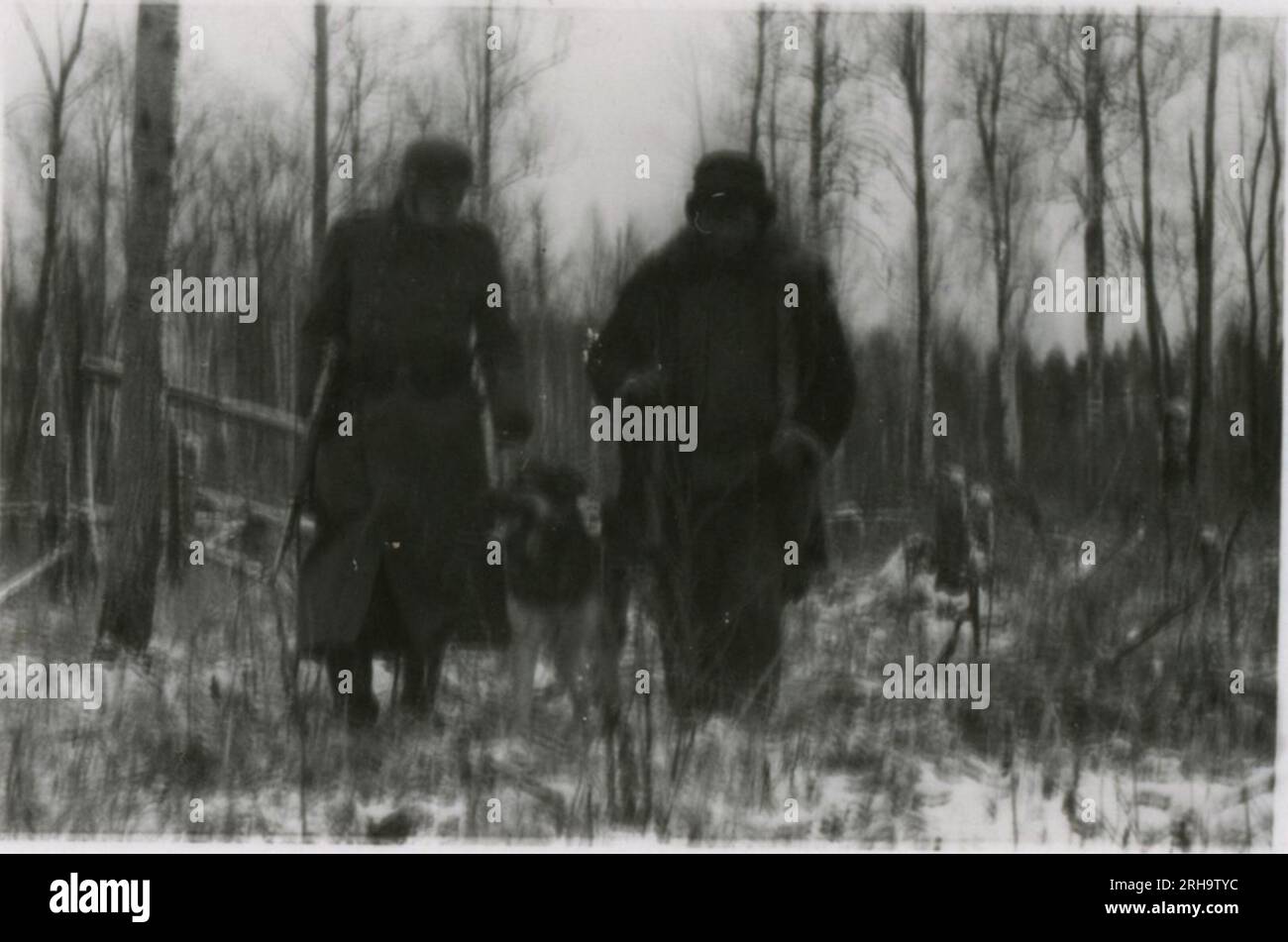 SS Photographer, Hoffmann, Rudi (1943-44) Soldiers undergoing medical ...