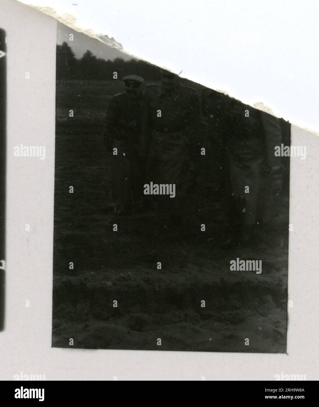 SS Photographer, Hofstäter (1943) Himmler observing assault gun and ant ...