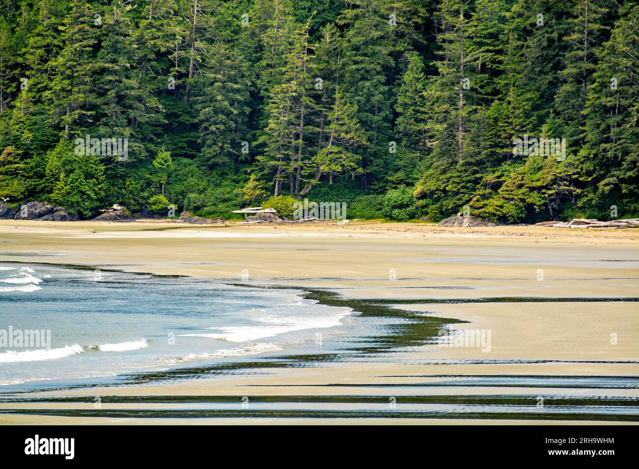 Tidal waves are coming into Pacific ocean inlet on Vancouver island ...