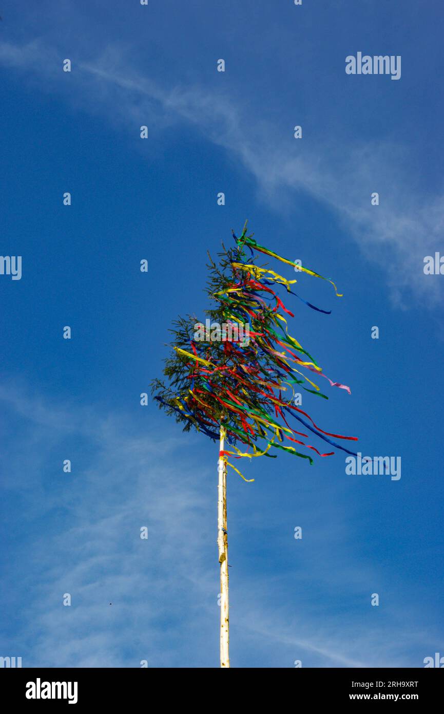 A tree with colorful ribbons on a sky background Stock Photo - Alamy