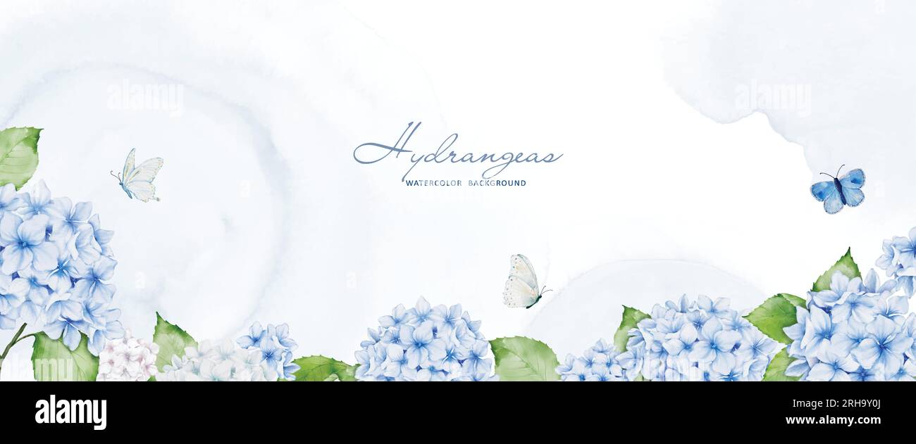 Watercolor art with blue hydrangea flowers, decorated with butterflies ...