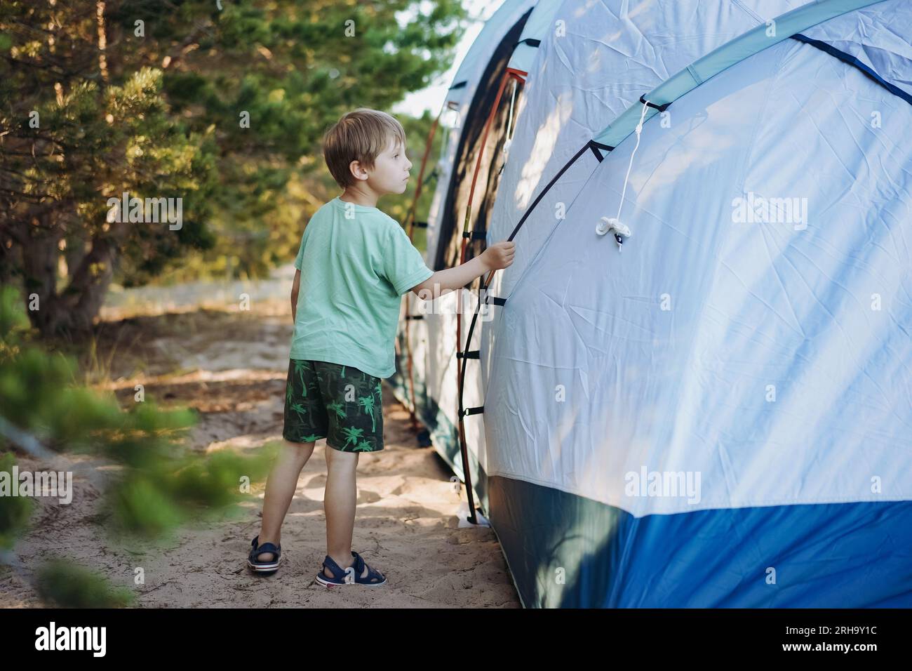 cute little caucasian boy helping to put up a tent. sunset shadows from trees. Family camping ...