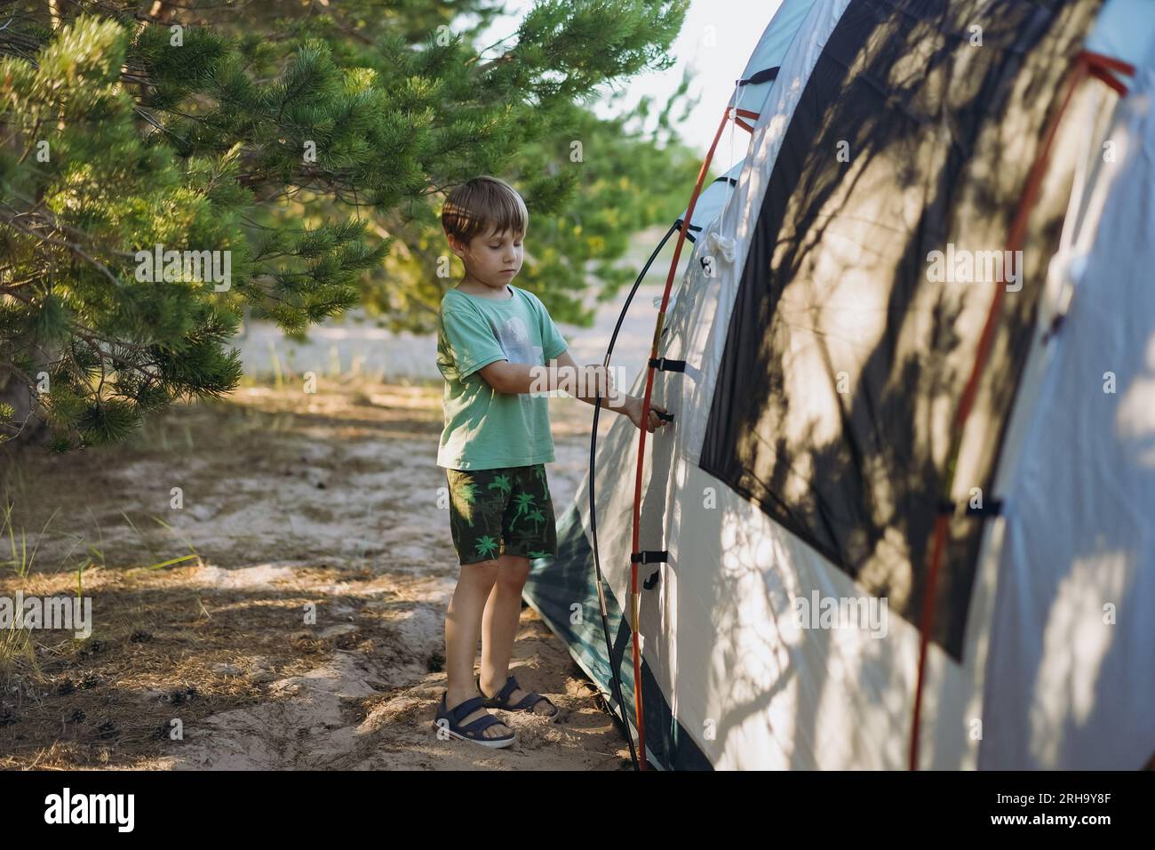 cute little caucasian boy helping to put up a tent. sunset shadows from trees. Family camping ...