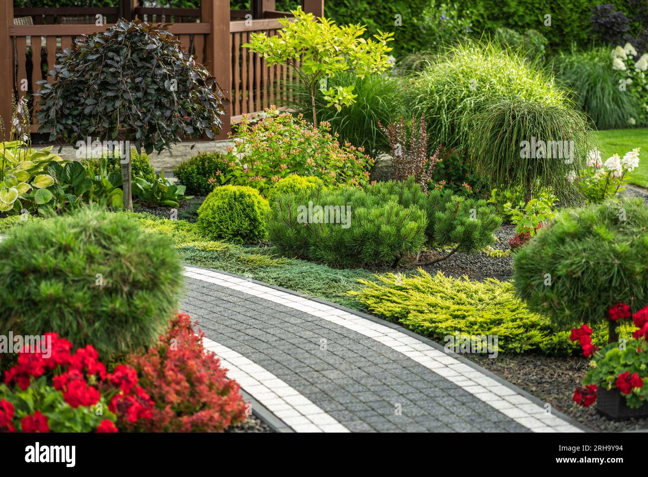 Beautiful Modern Back Yard Garden Full of Mature Plants and Trees ...
