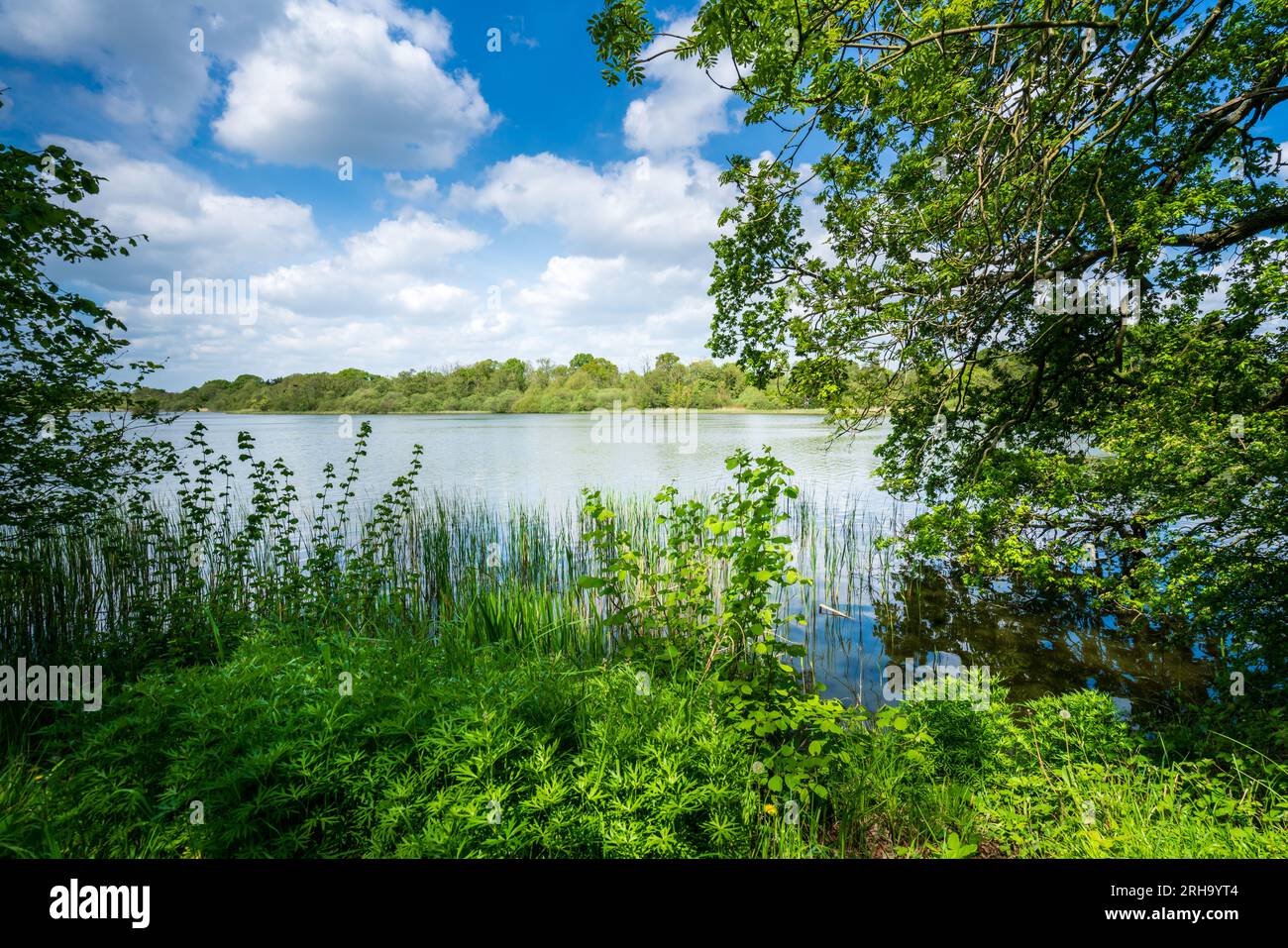 Scenic delight English countryside park. View across the lake inside ...