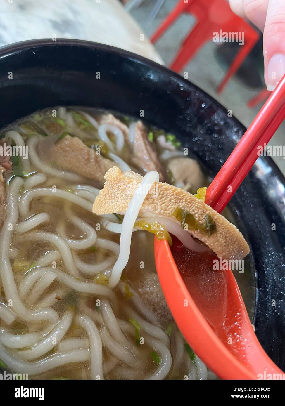 Tripe and noodles, Malaysian Street Food, Kuala Lumpur , Malaysia Stock ...
