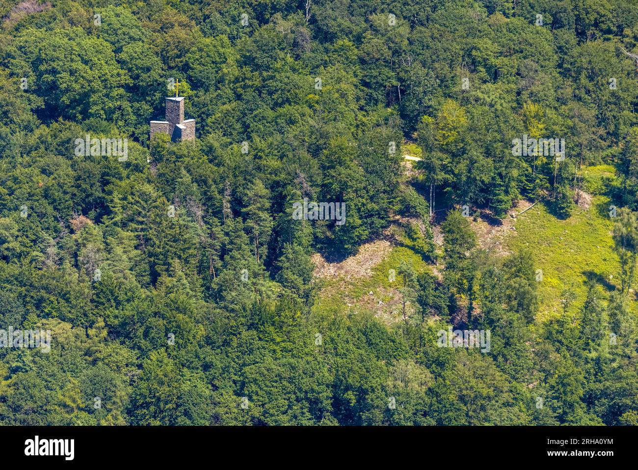 City in forest hi-res stock photography and images - Alamy