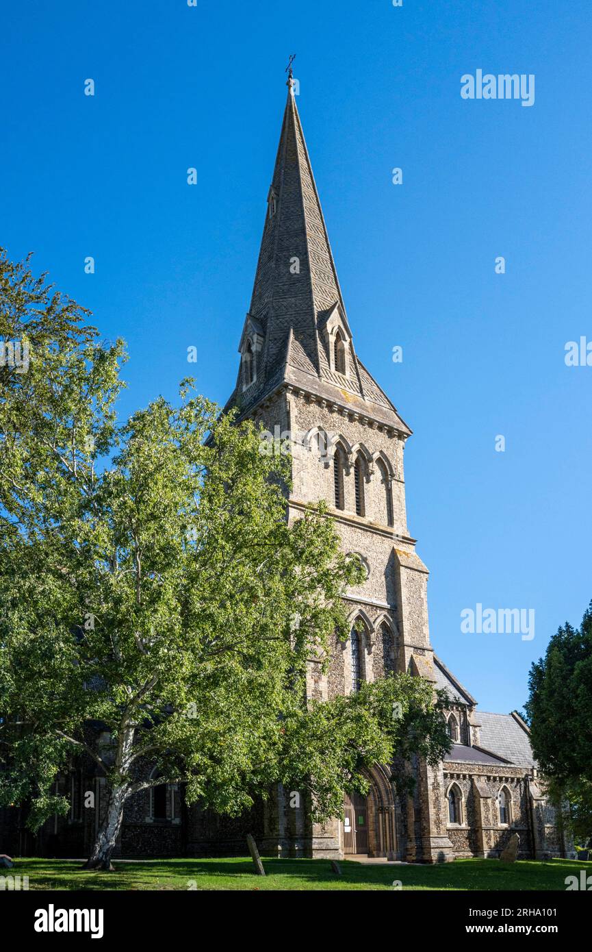 Halstead Holy Trinity Church Stock Photo - Alamy