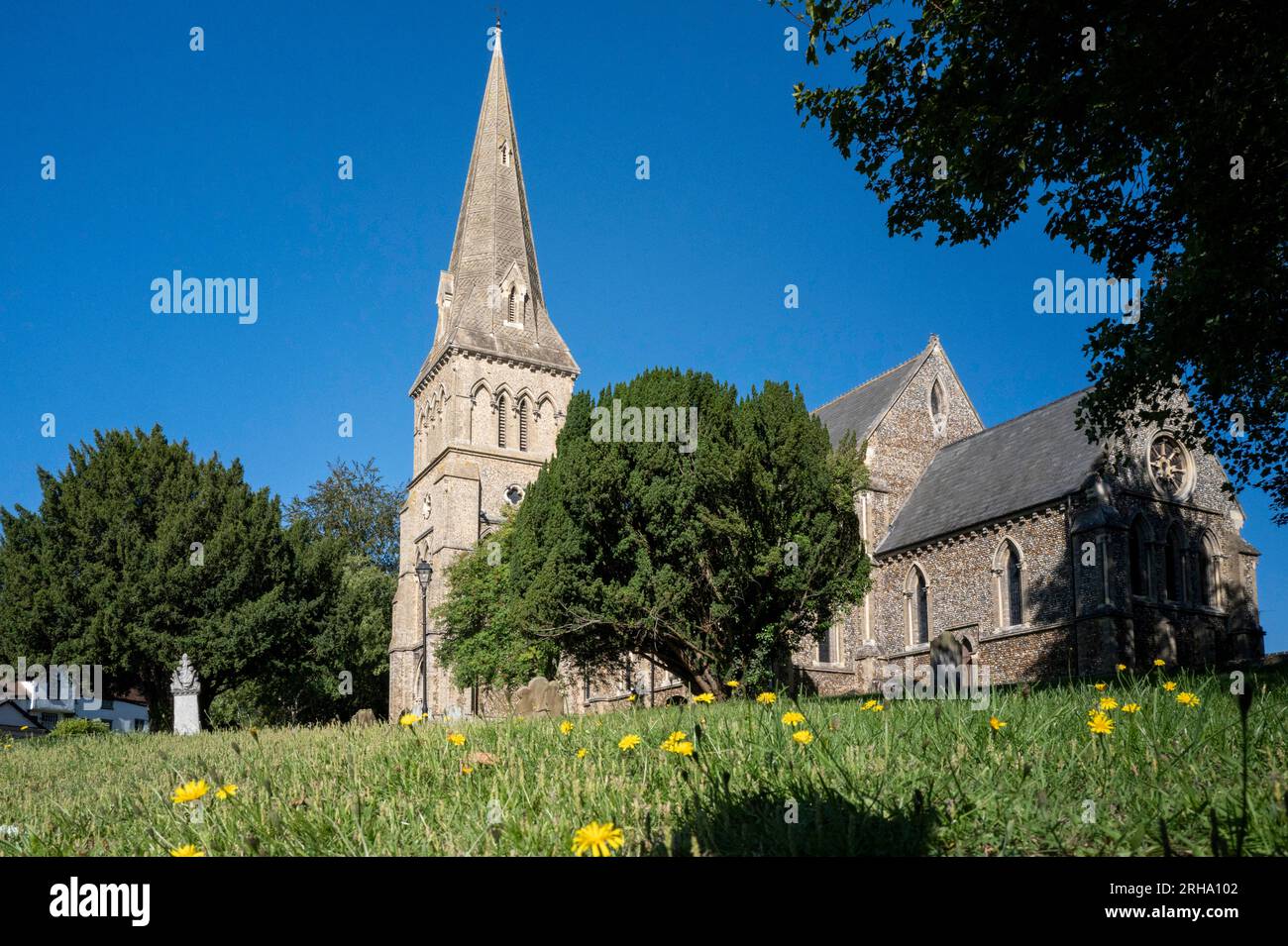 Halstead Holy Trinity Church Stock Photo - Alamy