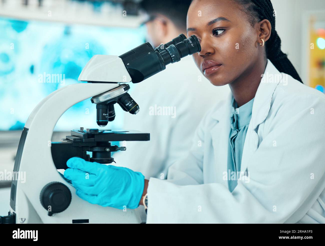 Microscope, scientific and female scientist working in a medical study ...