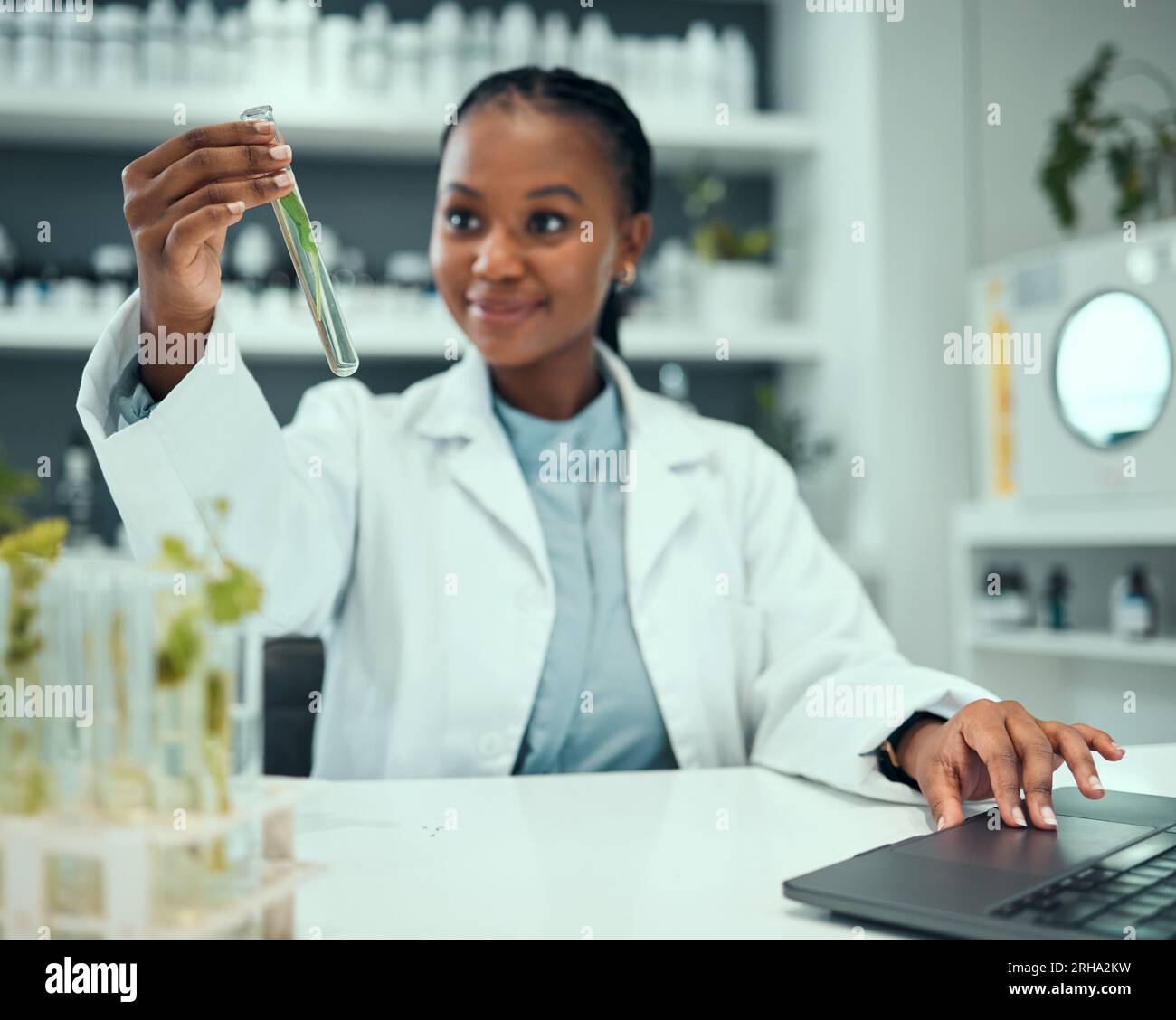 Natural science progress hi-res stock photography and images - Alamy