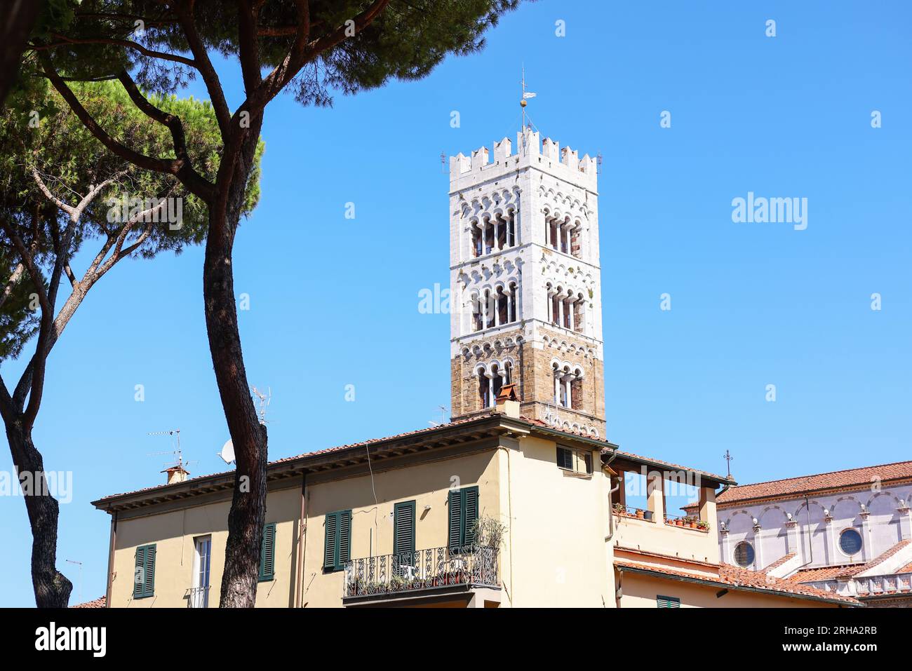 Lucca skyline guinigi tower hi-res stock photography and images - Alamy