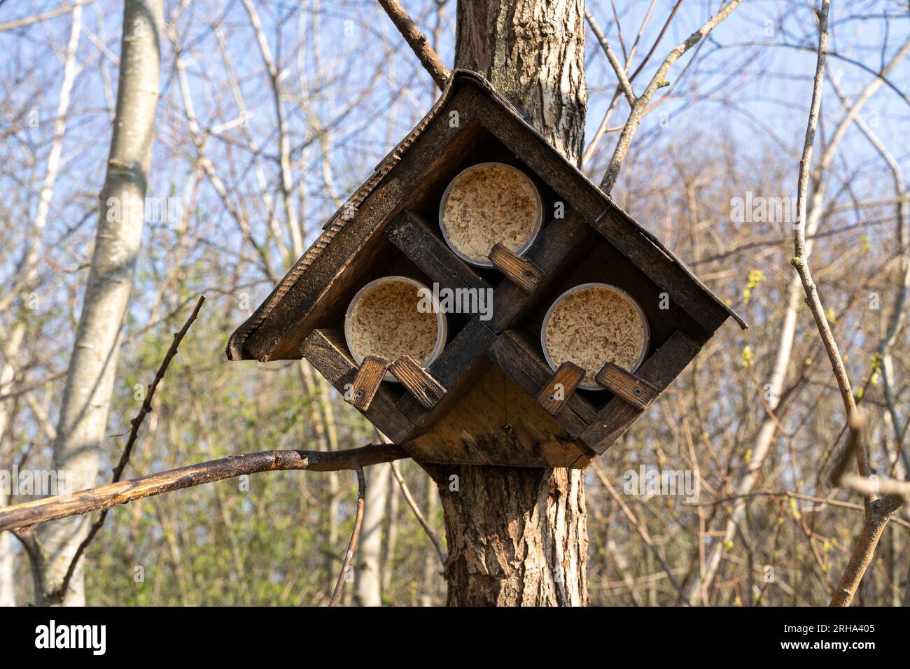 Feeder for birds on tree with 3 different types of food Stock Photo - Alamy