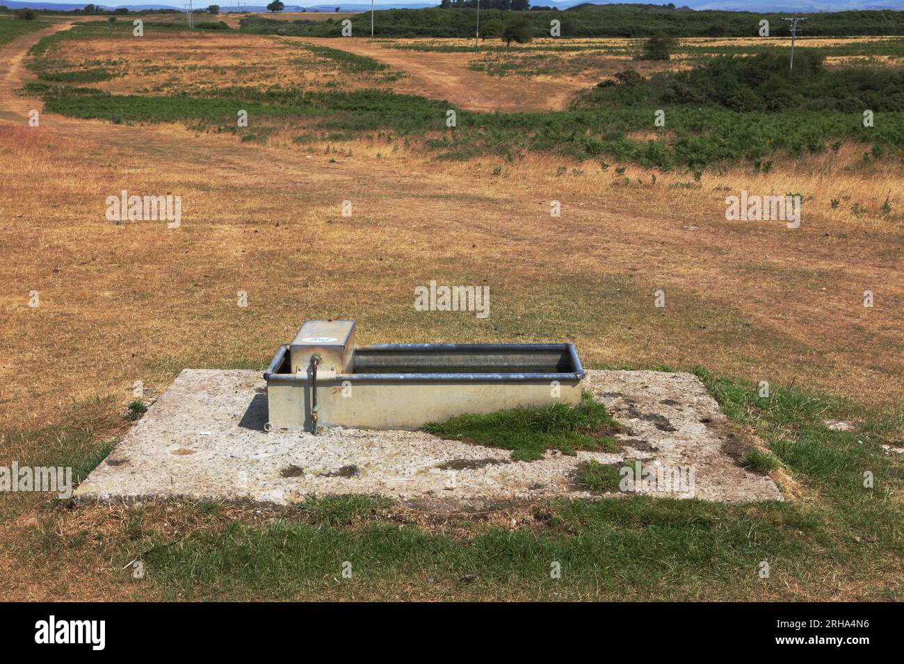A large filled water trough for all the local sheep and other animals ...