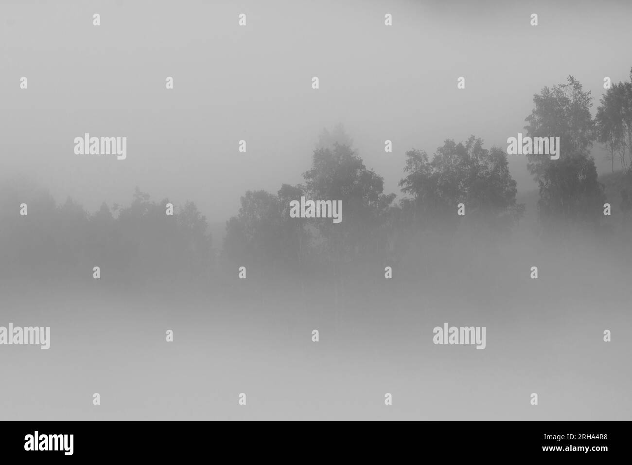 Picturesque fog foggy Black and White Stock Photos & Images - Alamy