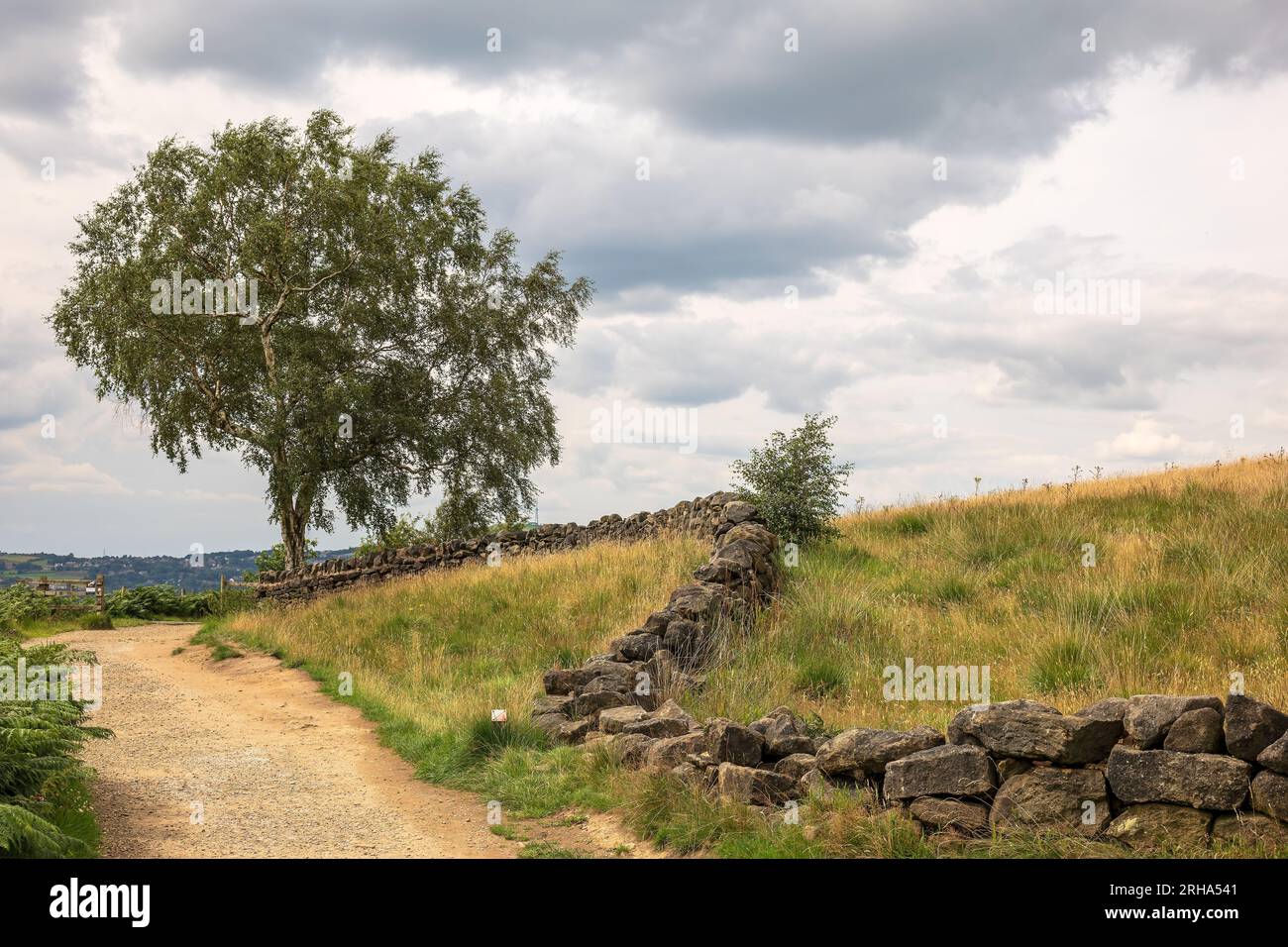 Landscape with public footpath and dry stone wall at the Peak District ...