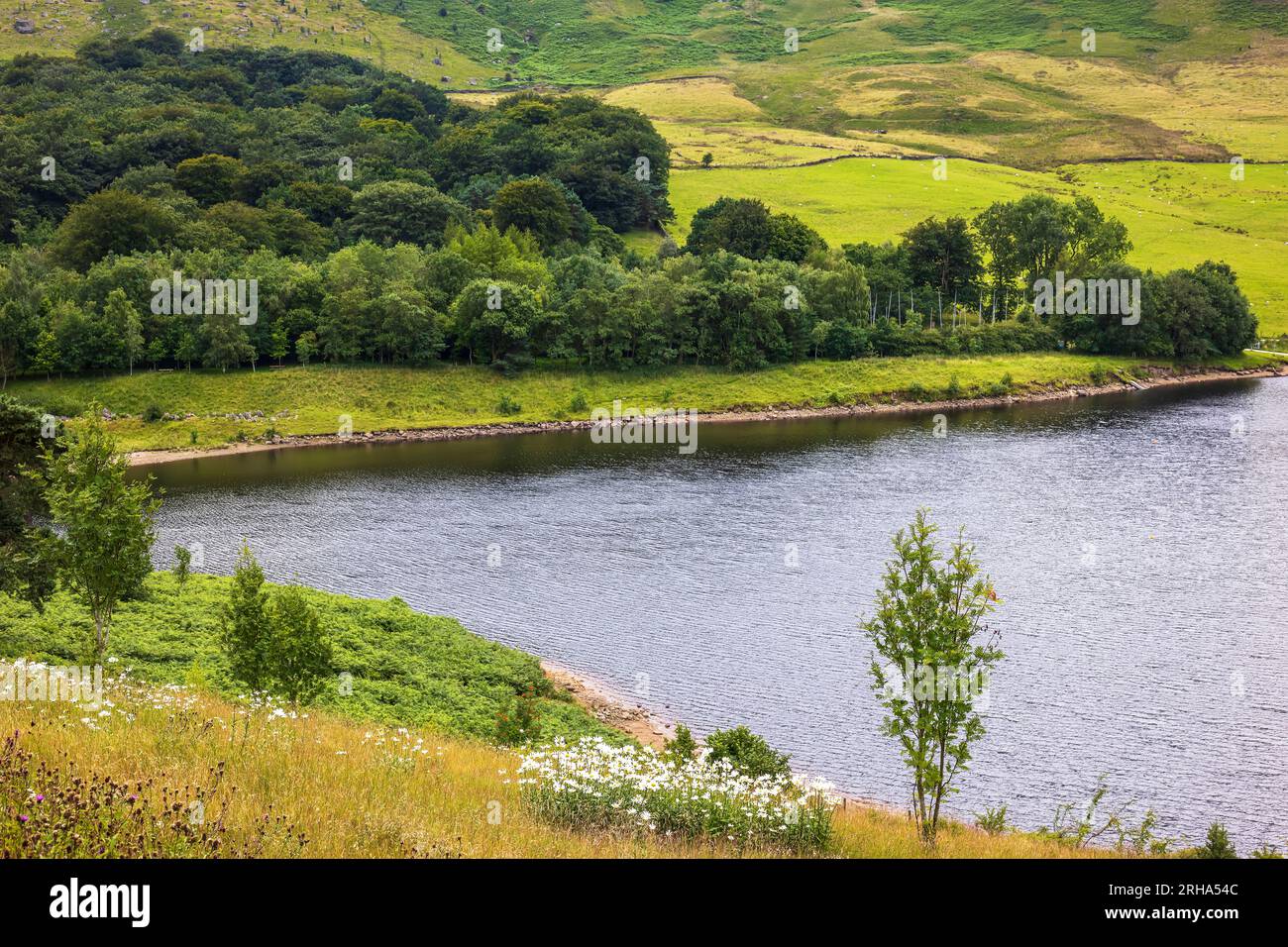 Rural landscape of the Dovestone Reservoir on the western edge of the ...