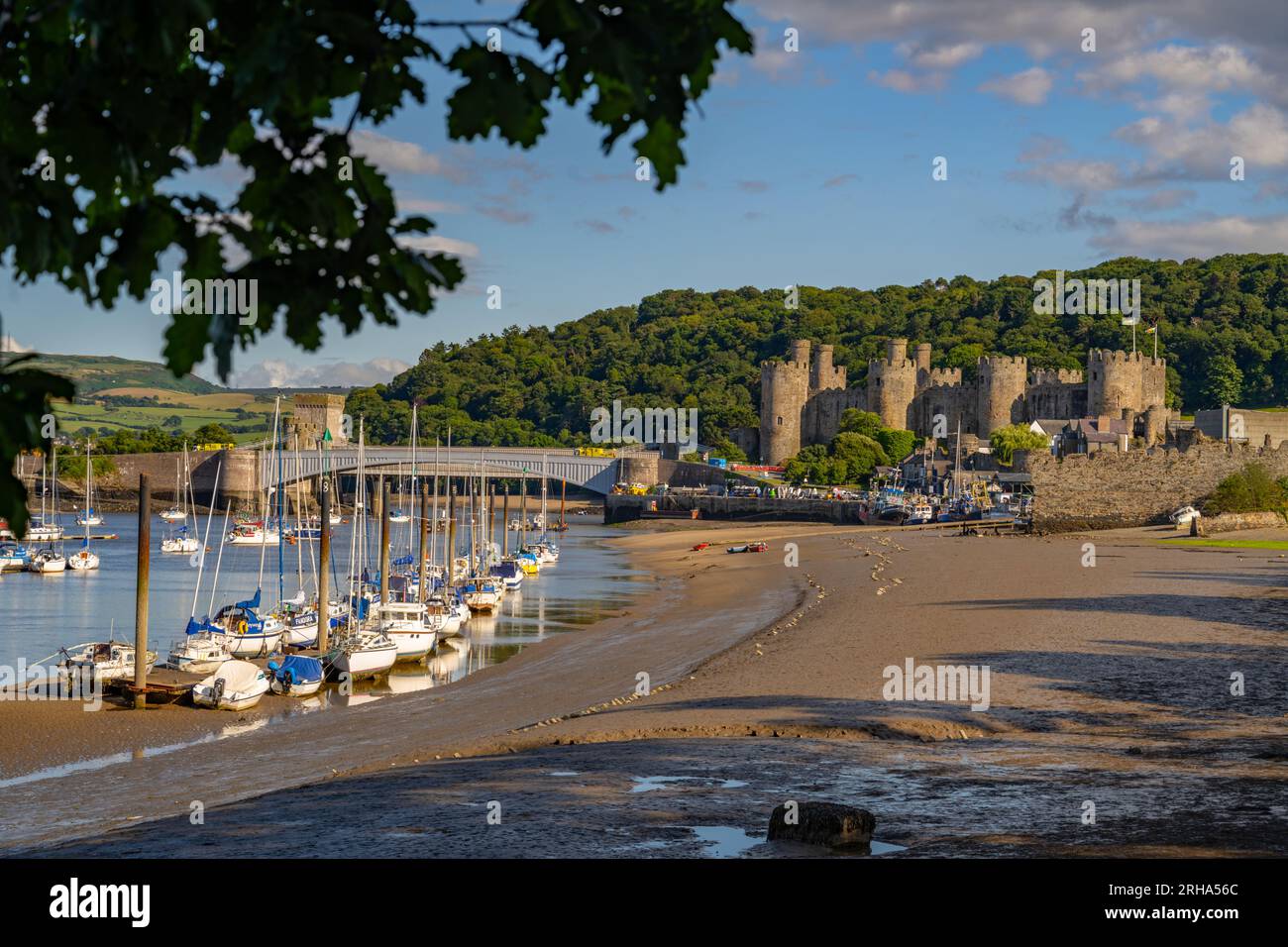 The river Conwy, and Conwy Castle at low tide from the banks of the ...