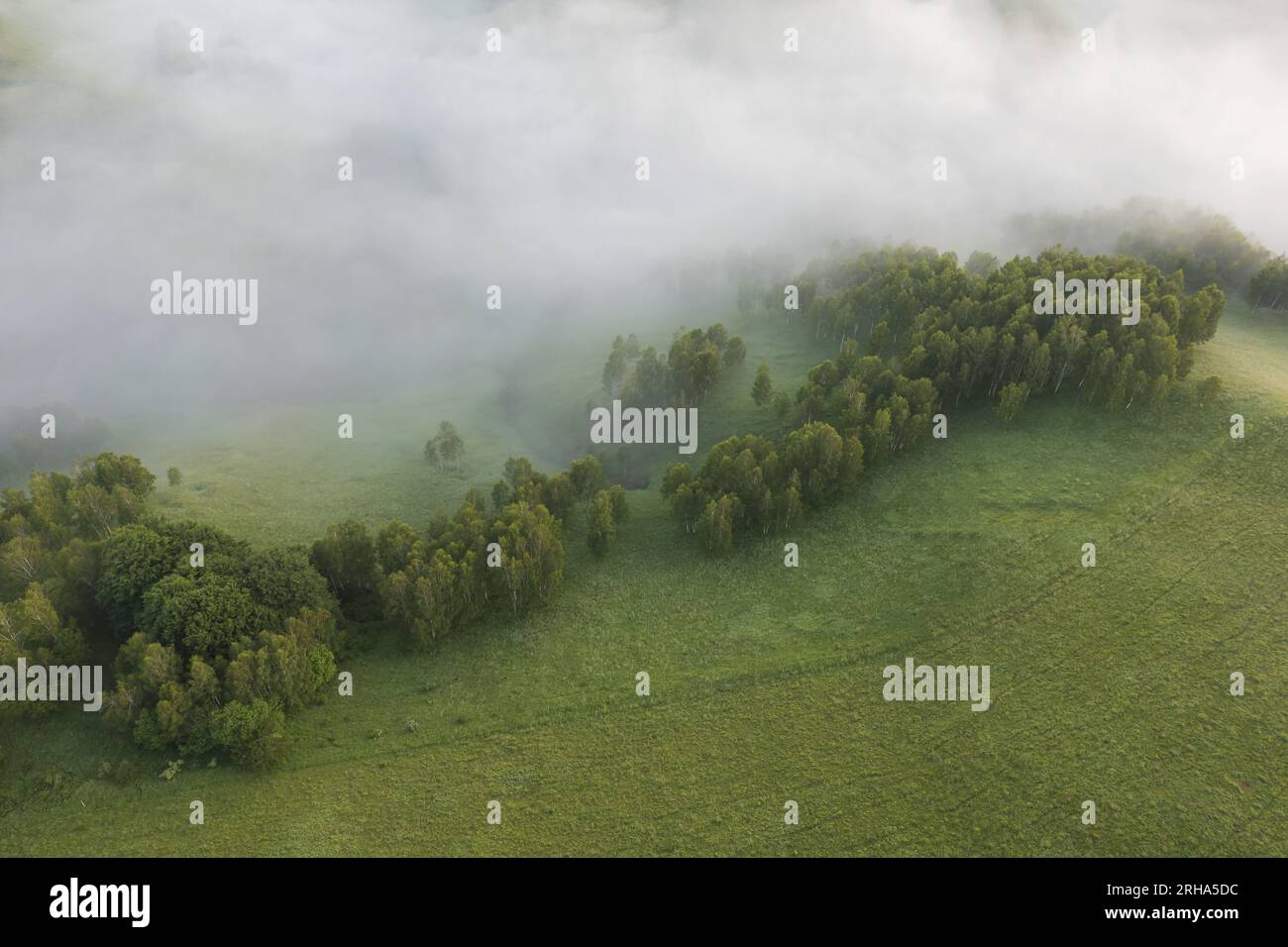 Aerial view deciduous forest hiking hi-res stock photography and images ...
