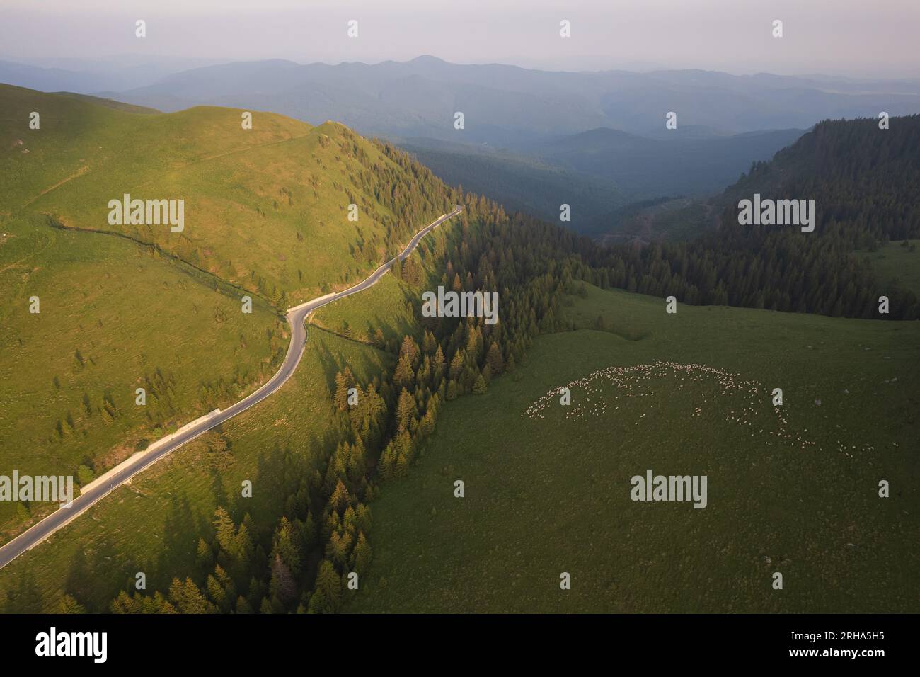 Transbucegi hi-res stock photography and images - Alamy