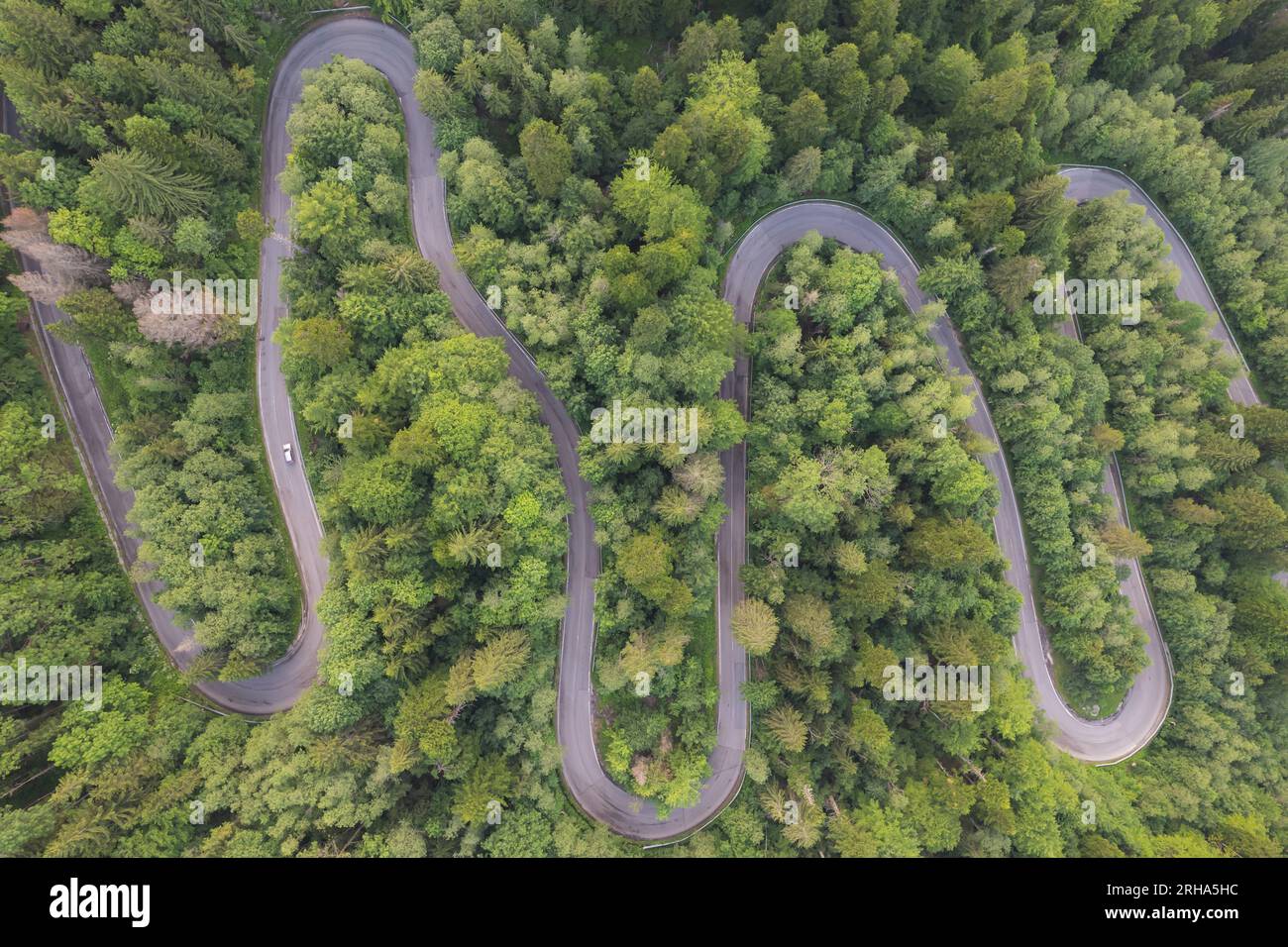 Transbucegi hi-res stock photography and images - Alamy