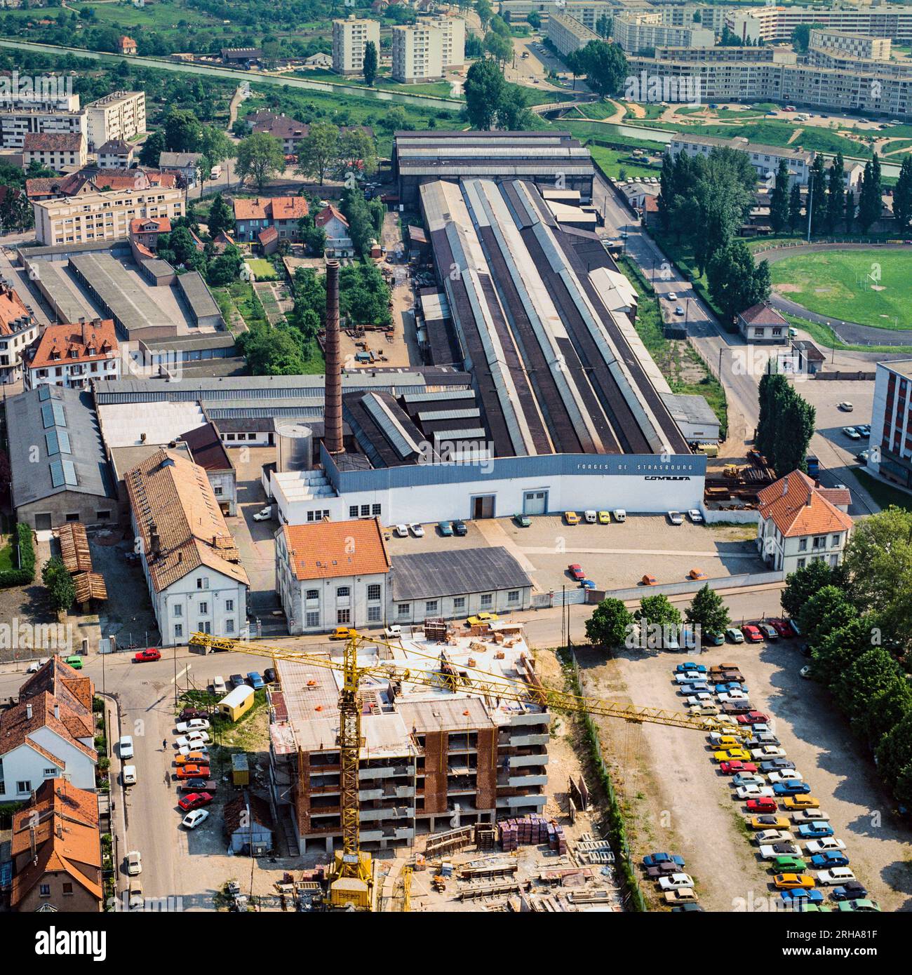 Comessa plant hi-res stock photography and images - Alamy