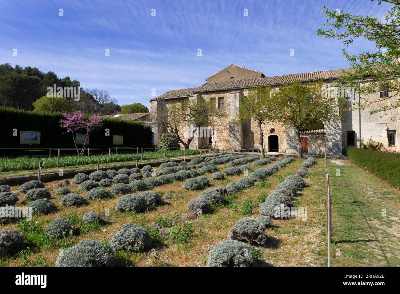 Saint paul de mausole van gogh hi-res stock photography and images - Alamy